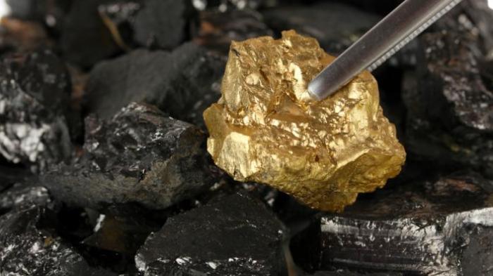 Newcrest Mining Ltd Gandeng Antam Eksplorasi Emas dan Tembaga di Indonesia